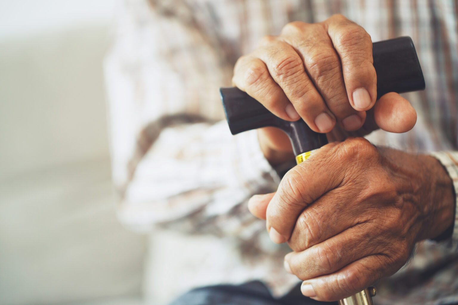 Centre-Based Day Respite - Byron Shire Respite Services